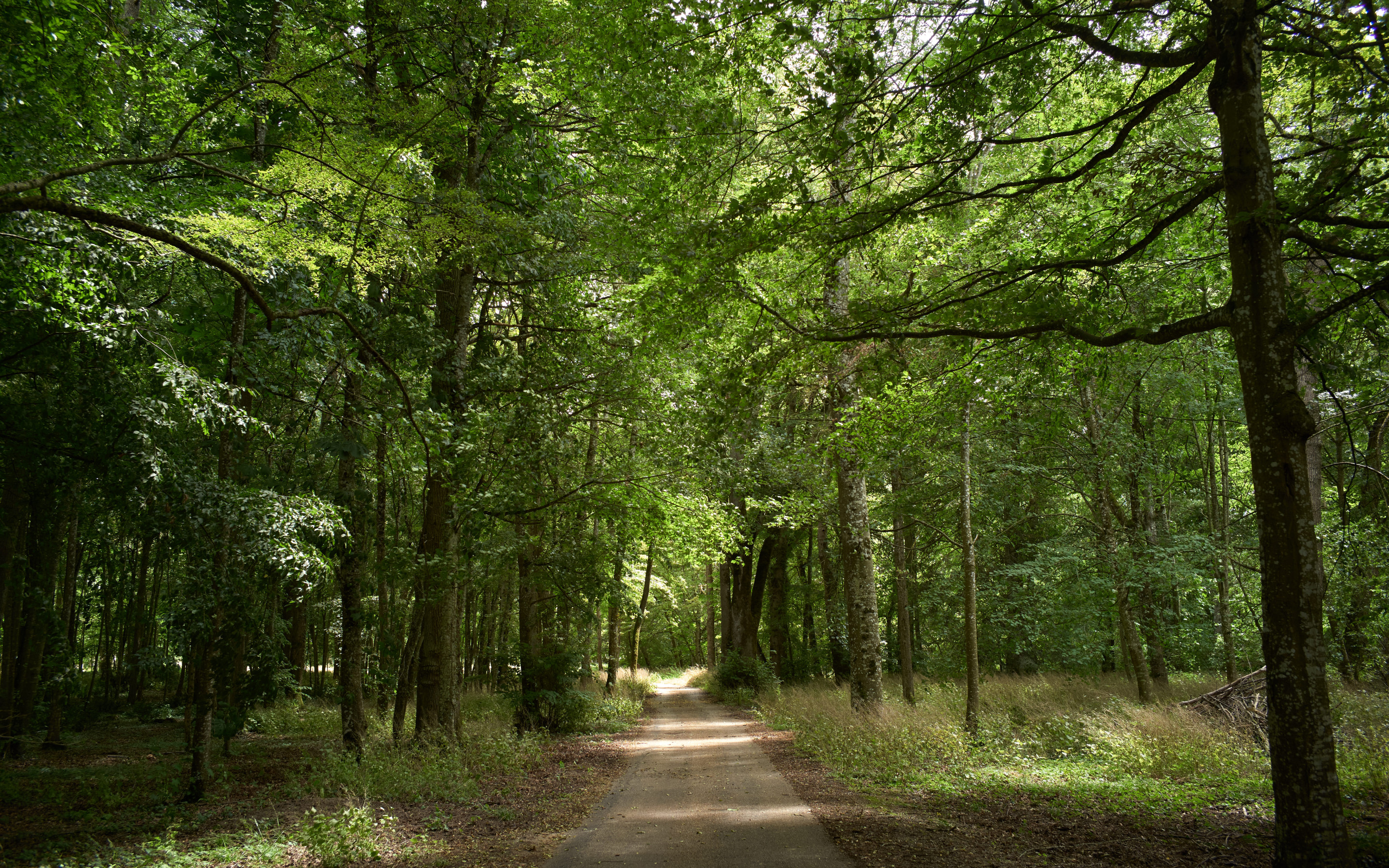 Séjour en région Bordelaise et Sologne | Hôtels Les Sources