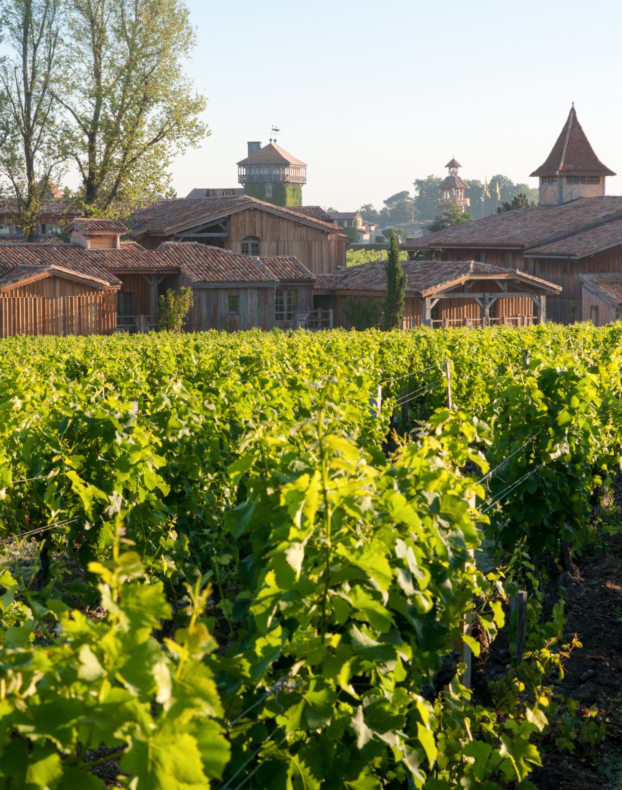 Wine tourism - Les Sources